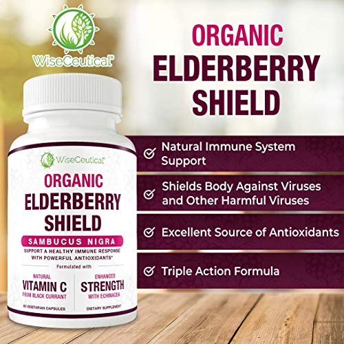 daily elderberry dosage guide