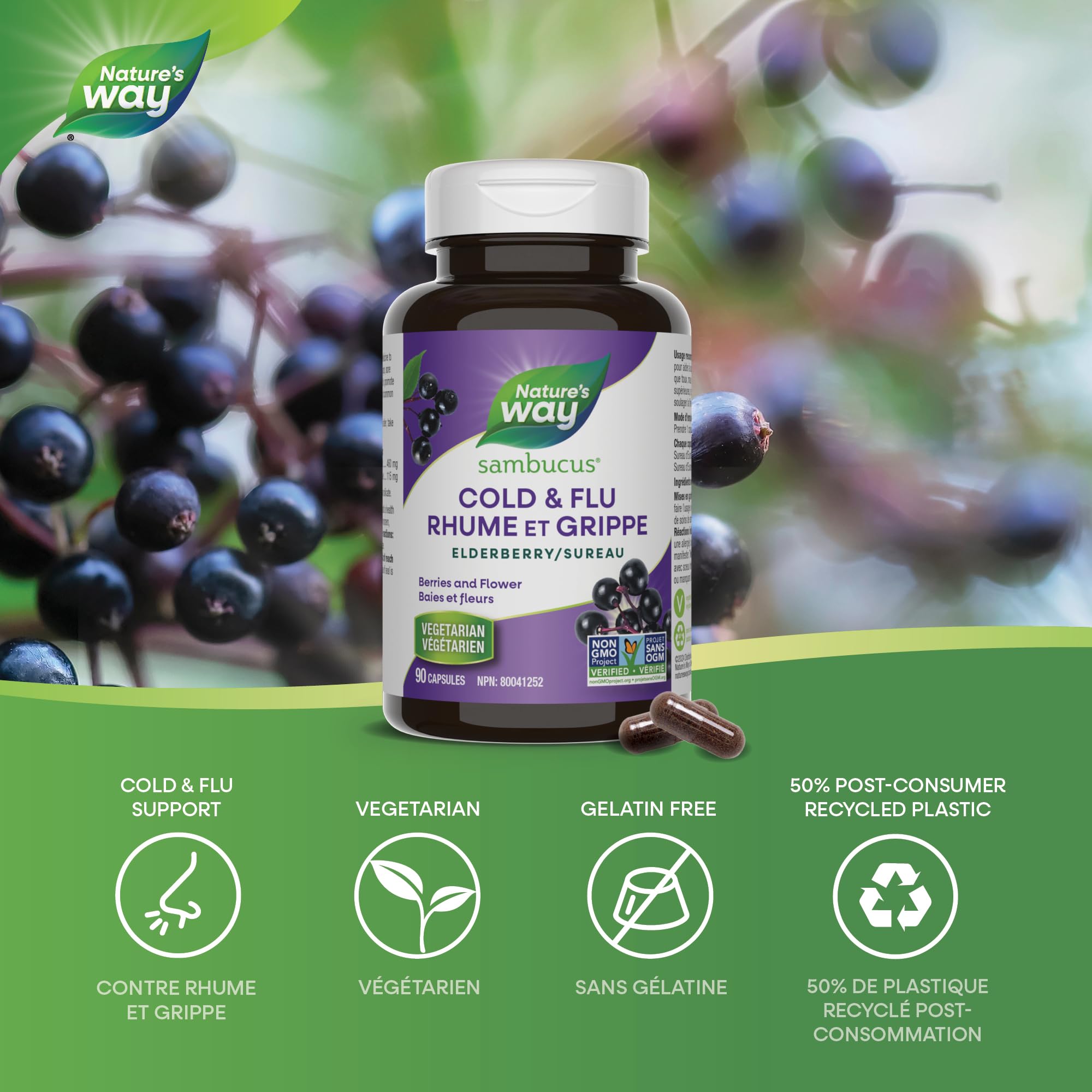 daily elderberry dosage recommendations