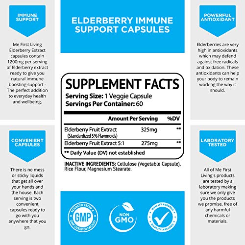 daily elderberry dosage recommendations