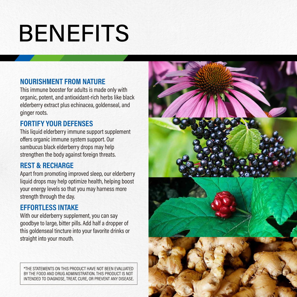 daily elderberry drops for wellness