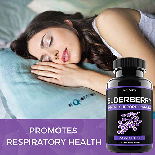 daily elderberry for better health