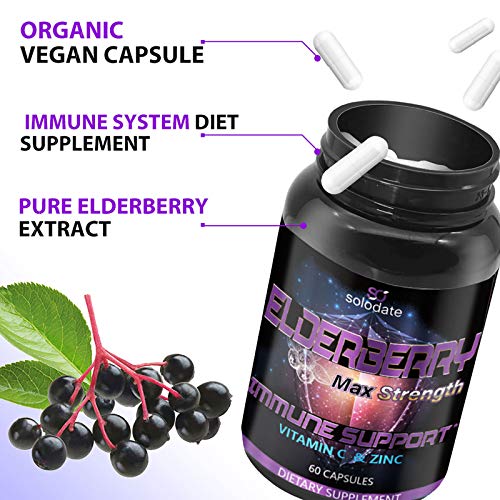daily elderberry for better health