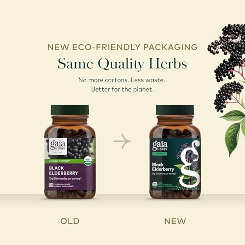 daily elderberry for enhanced wellbeing