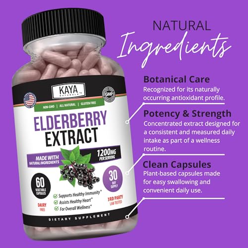daily elderberry for immune health