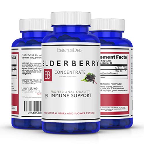 daily elderberry for immune support