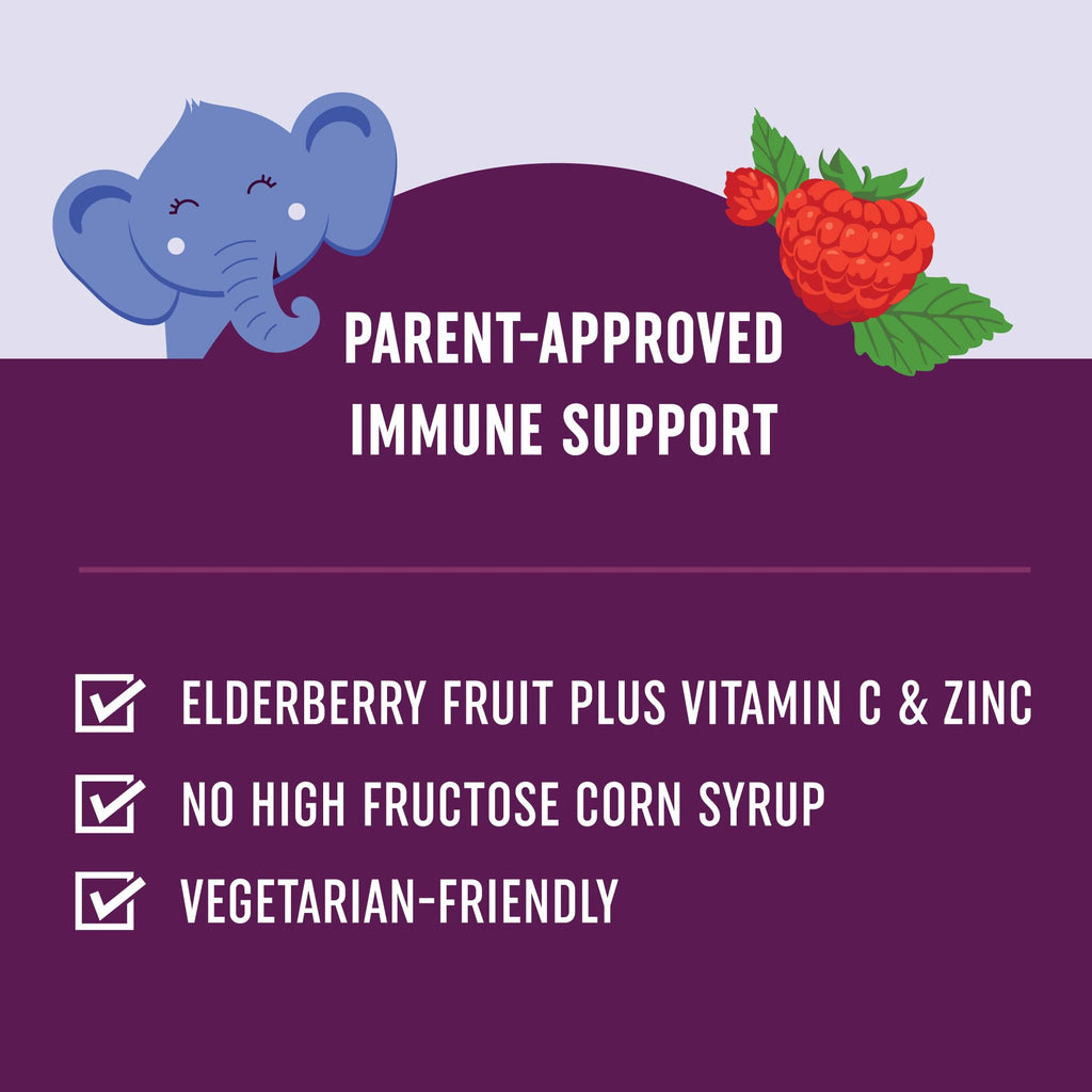 daily elderberry gummies for kids