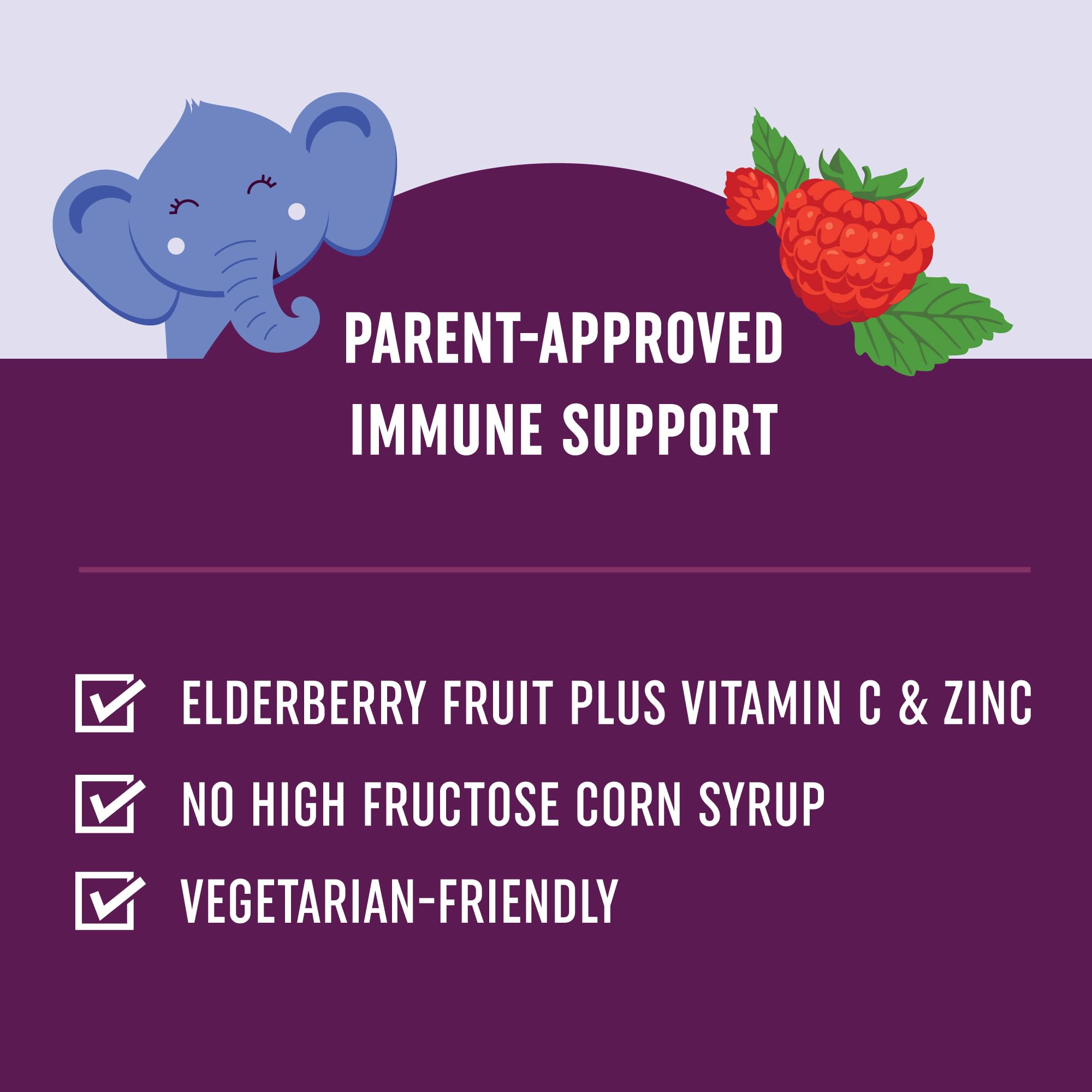 daily elderberry gummies for kids
