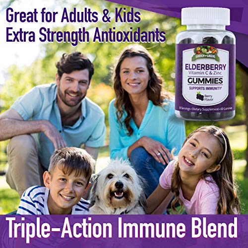 daily elderberry gummies for seasonal support