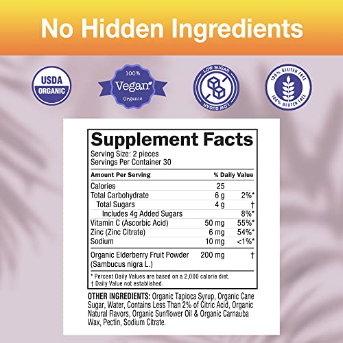 daily elderberry gummies for wellness