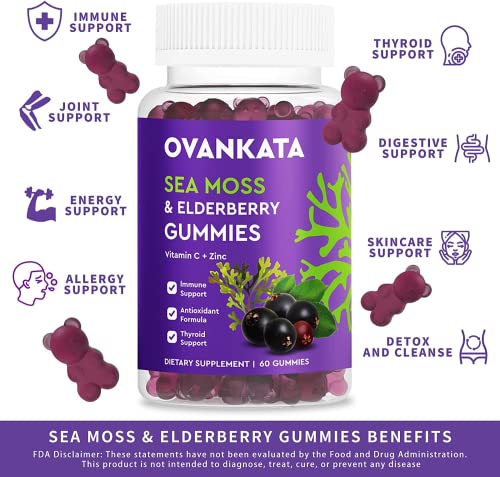 daily elderberry gummy dosage