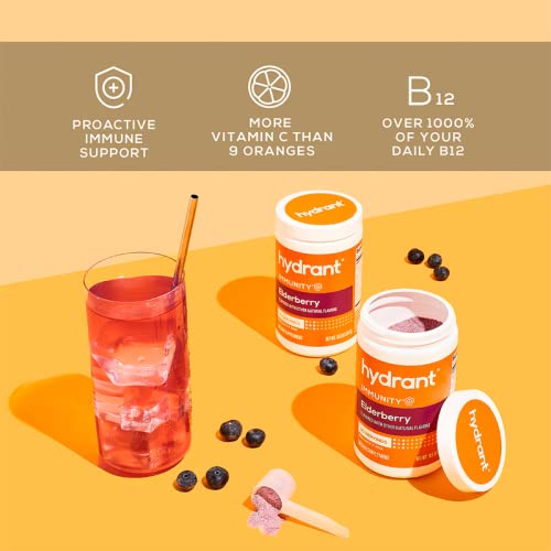 Daily elderberry powder for wellness