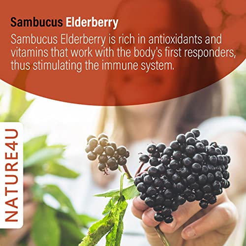 daily elderberry supplement for active lifestyles