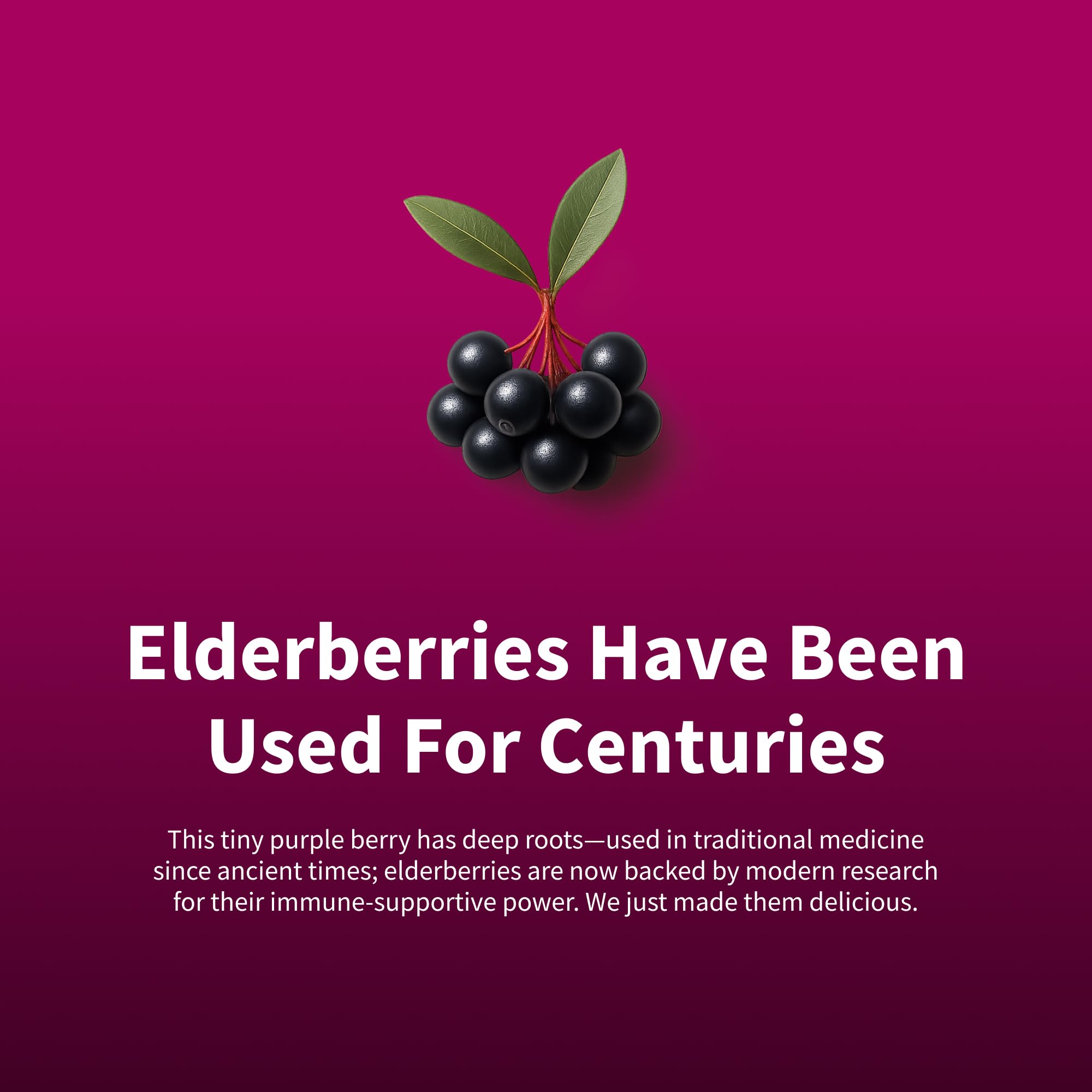 daily elderberry supplement for adults