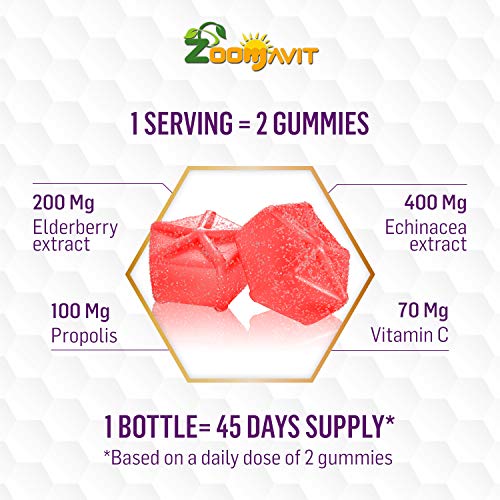 Daily elderberry supplement for adults