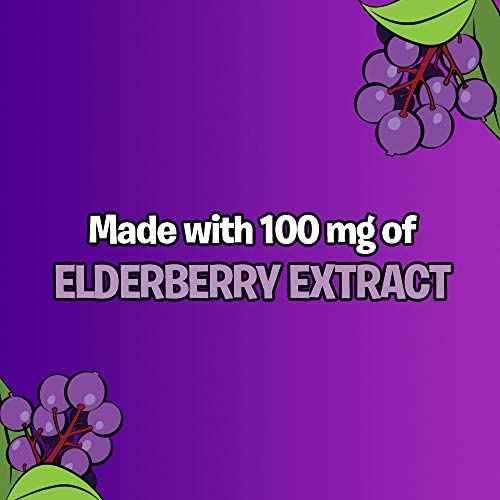 daily elderberry supplement for children