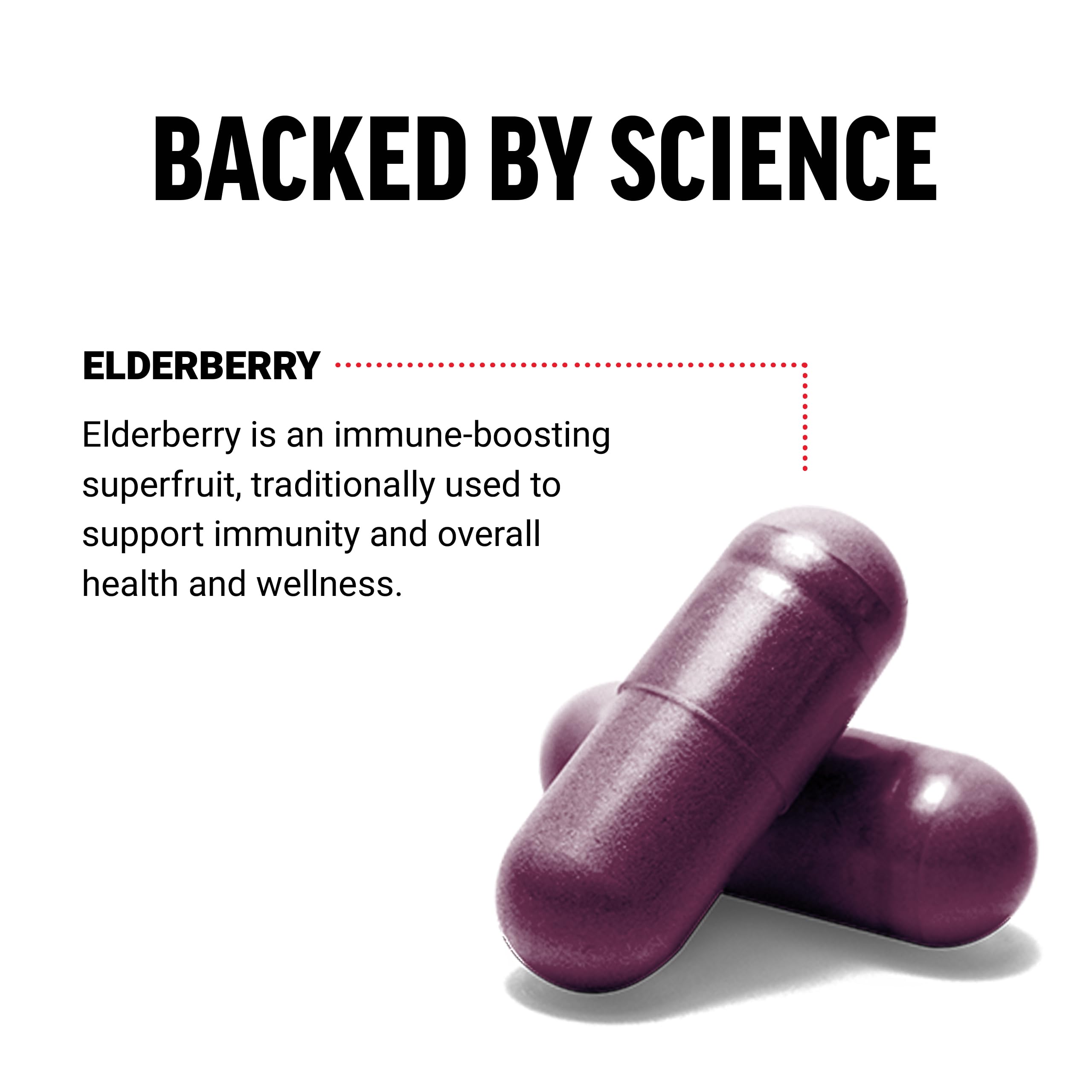 daily elderberry supplement for health