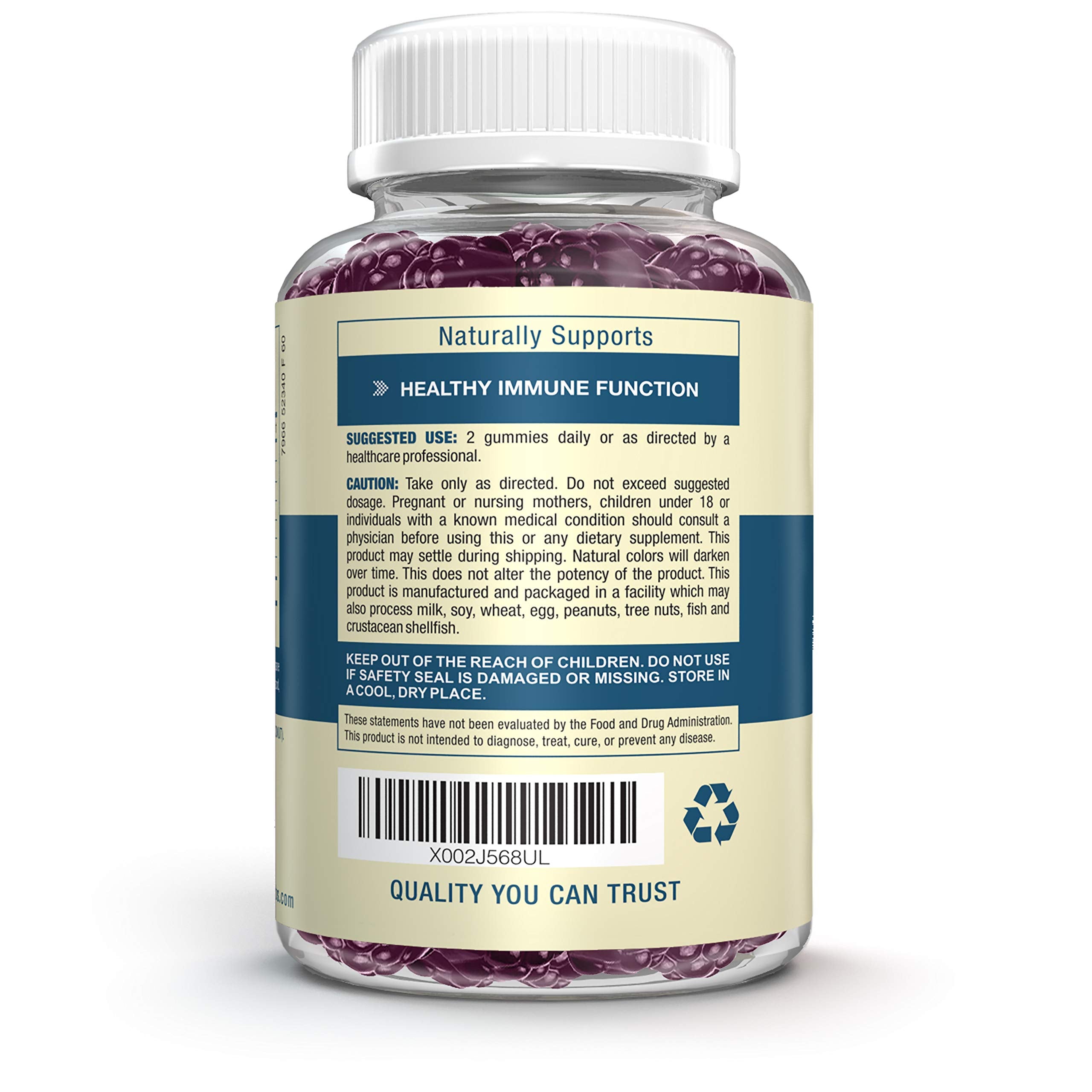 daily elderberry supplement for health