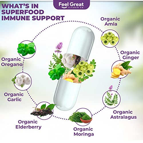 daily elderberry supplement for immunity