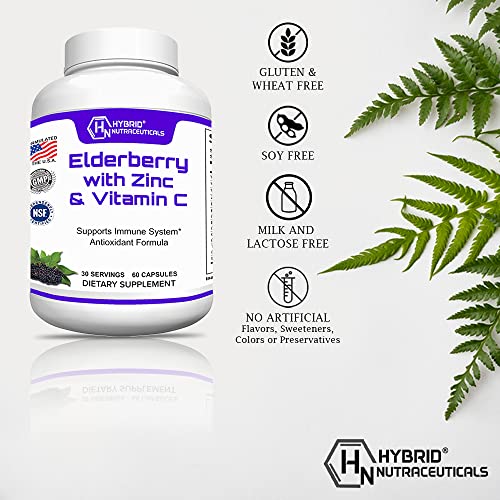 Daily elderberry supplement for vitality