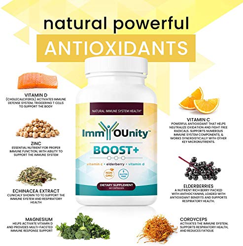 daily elderberry supplement for vitality