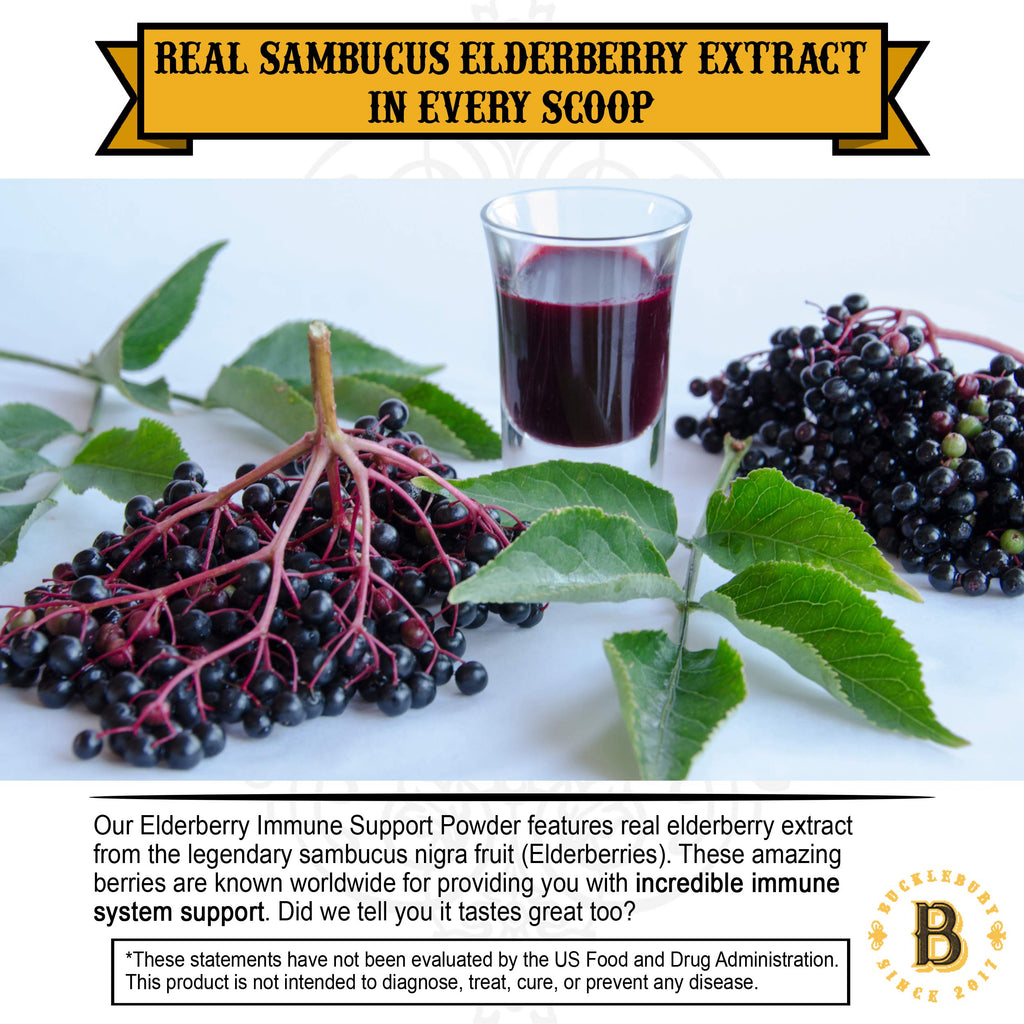 daily elderberry supplement for wellness