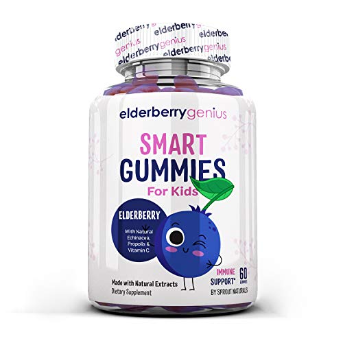 daily elderberry supplement for wellness