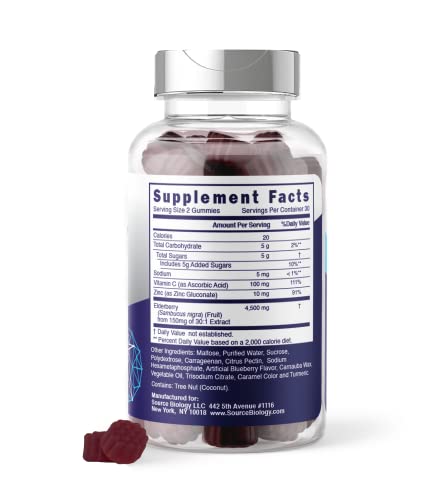 daily elderberry supplement for wellness