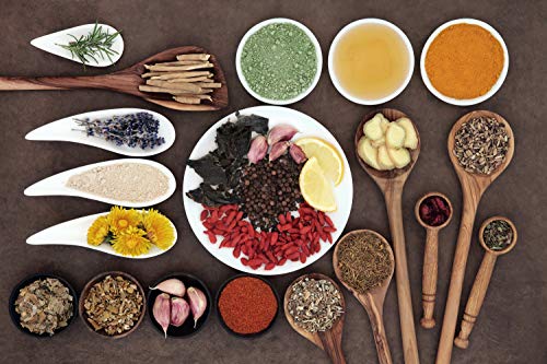 daily elderberry supplement for wellness
