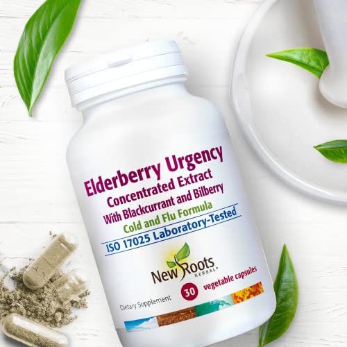daily elderberry support for cold season