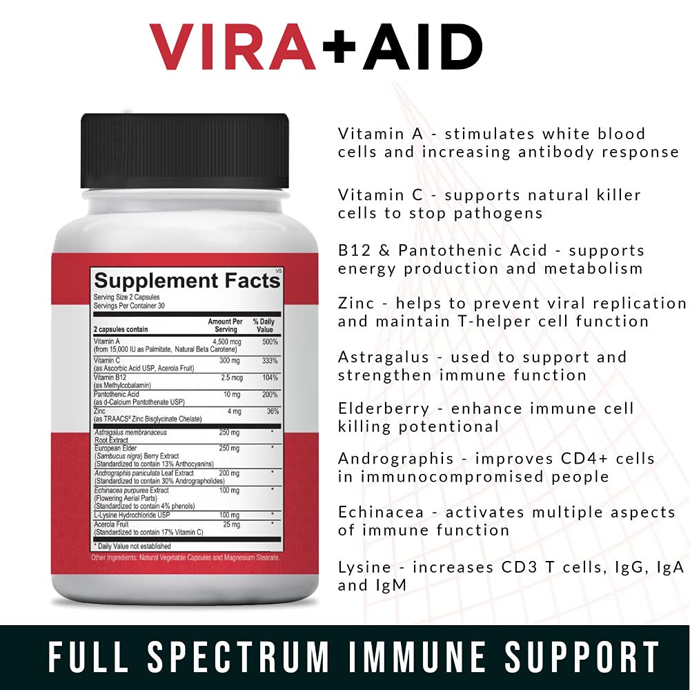 daily elderberry support for immunity