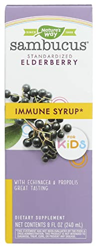 daily elderberry syrup dosage for children