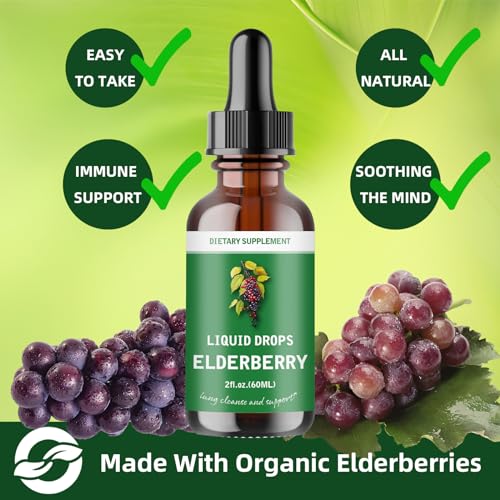 daily elderberry syrup dosage guide