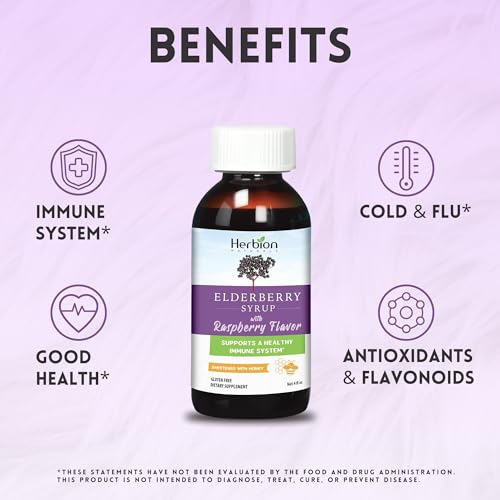 daily elderberry syrup dosage guide