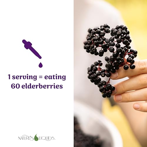 daily elderberry syrup dosage guide