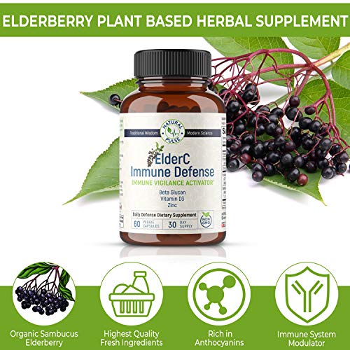 Daily elderberry syrup dosage guide