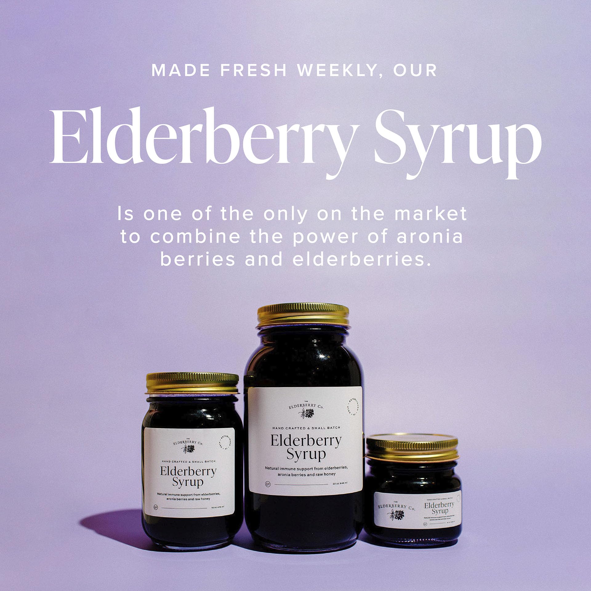 daily elderberry syrup dosage guide