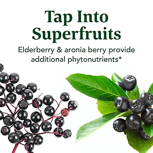 Daily elderberry syrup dosage guide