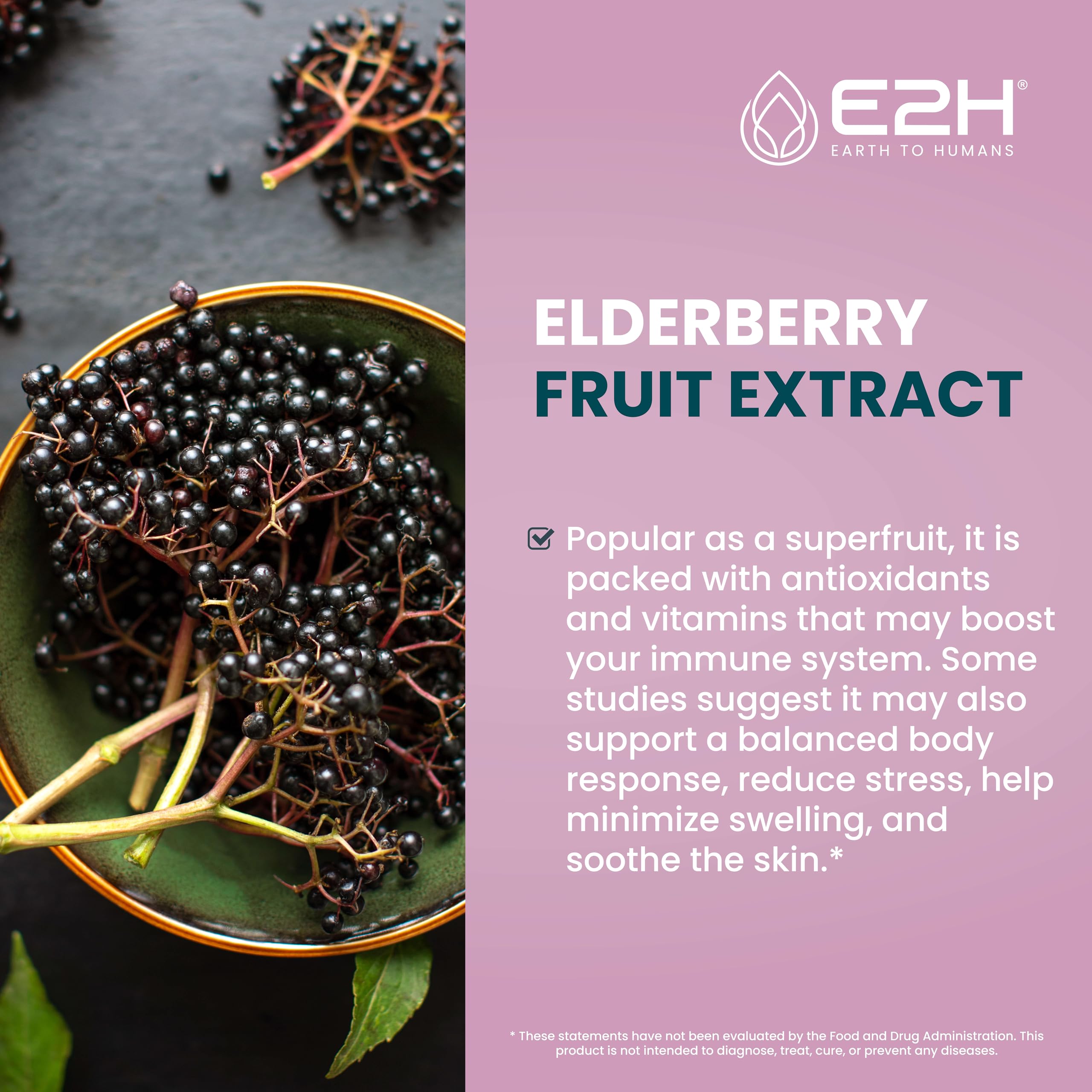 daily elderberry syrup dosage guide