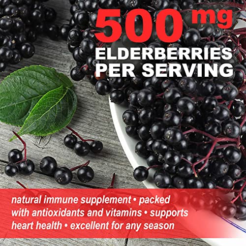daily elderberry syrup dosage guide