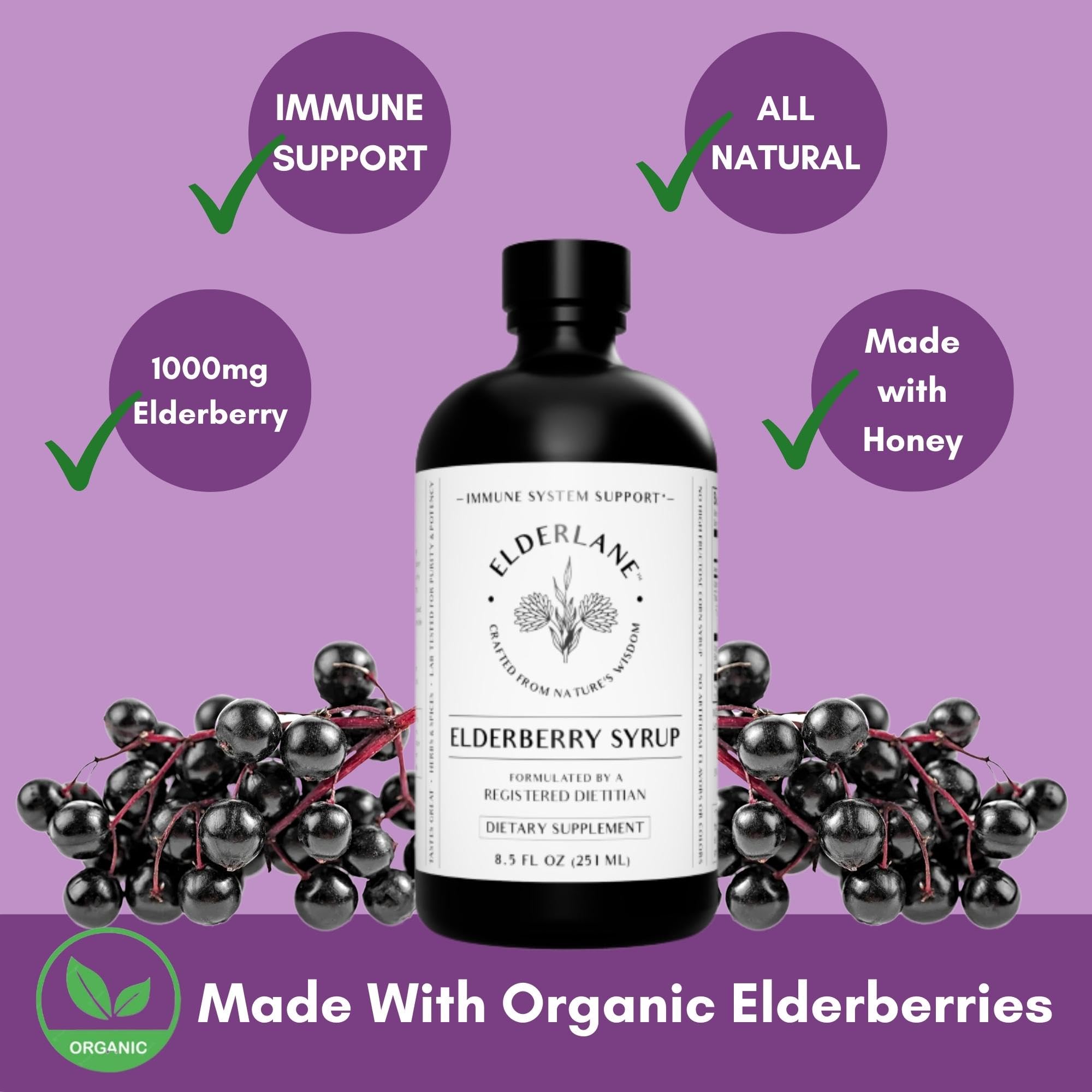 daily elderberry syrup dosage guide