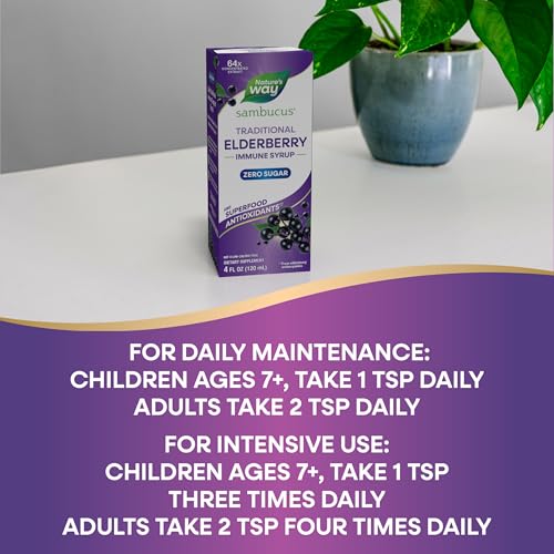 daily elderberry syrup for health