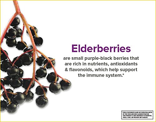 daily elderberry syrup for immunity