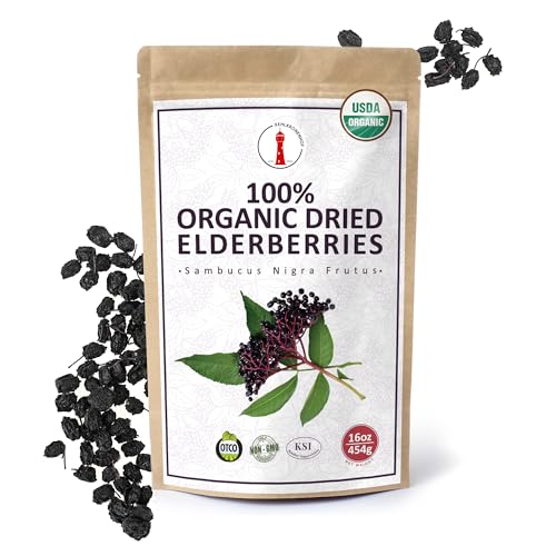 daily elderberry syrup health benefits