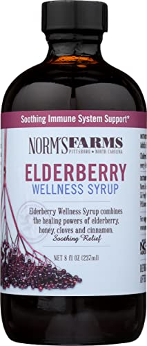 Daily elderberry wellness syrup benefits