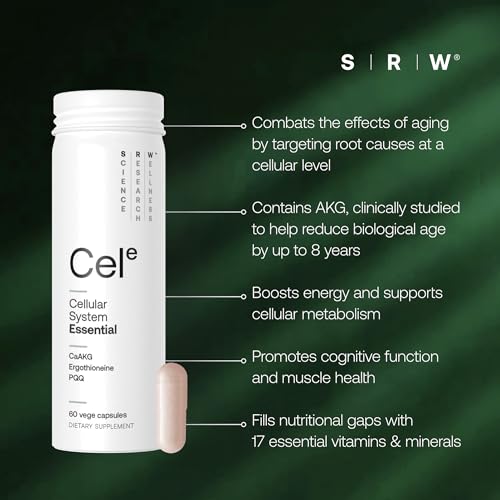 daily energy boost blended vitamin & mineral supplements