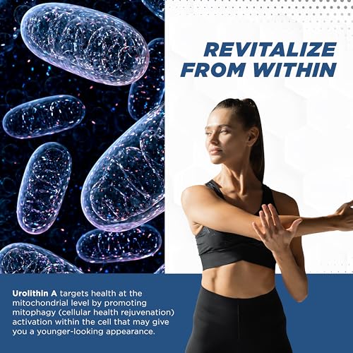 daily energy boost from blended supplements