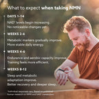 Daily energy boost from NMN capsules