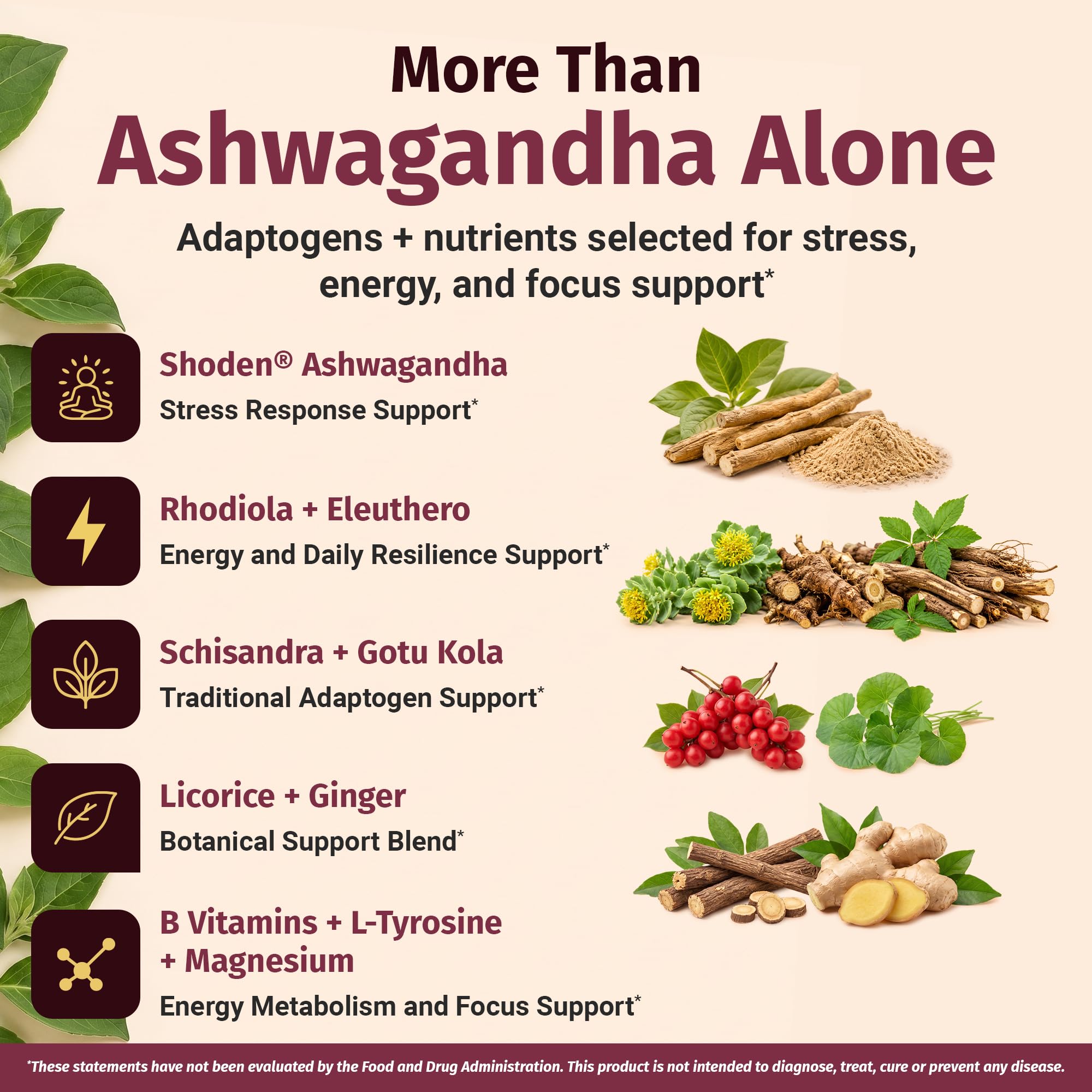 daily energy booster with adaptogens