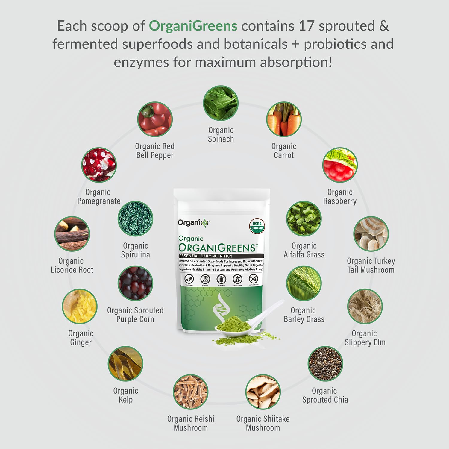 daily energy boosting superfood powder