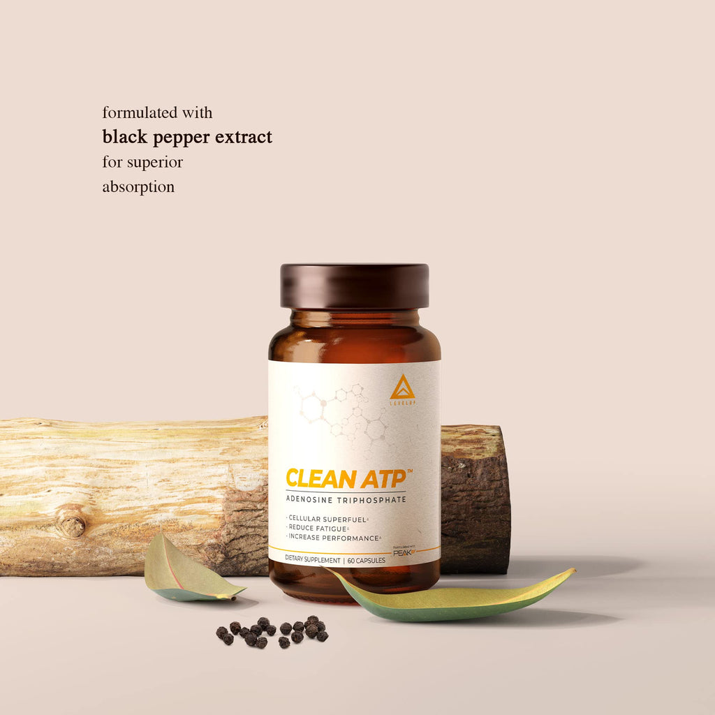 daily energy supplement for active lifestyles